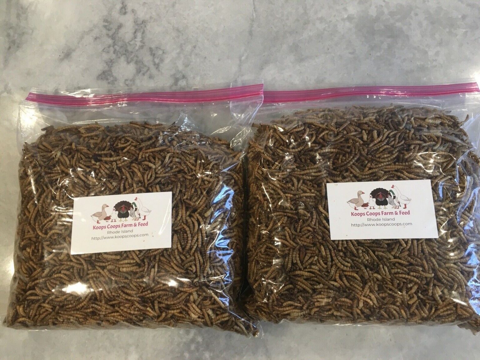 Our Custom Chicken Bug Mixture - Koops Coops