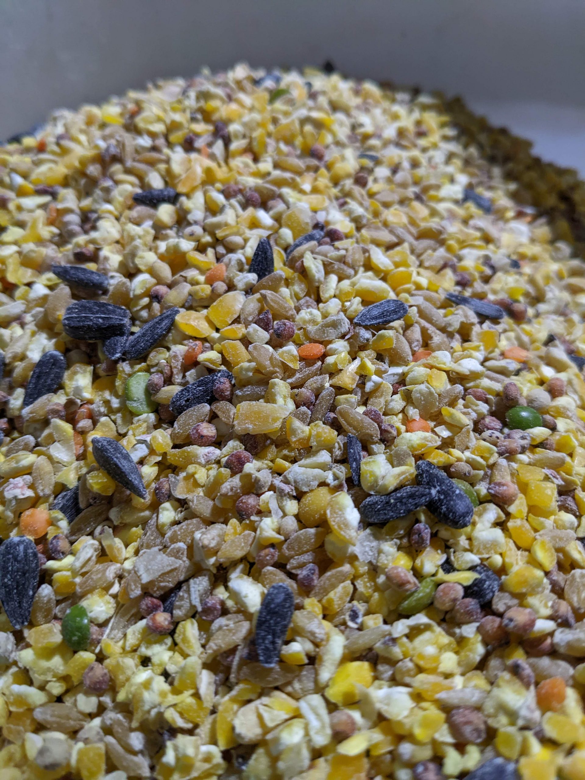 Our Custom Common Scratch Mix - Koops Coops