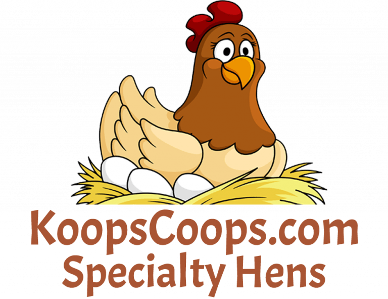Specializing in Fancy Chicken Breeds & Quality Hens - Koops Coops